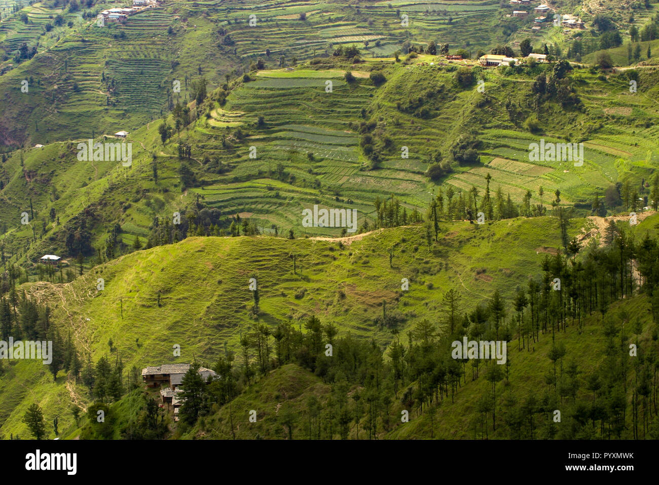 Step farming in himachal pradesh hi-res stock photography and images ...