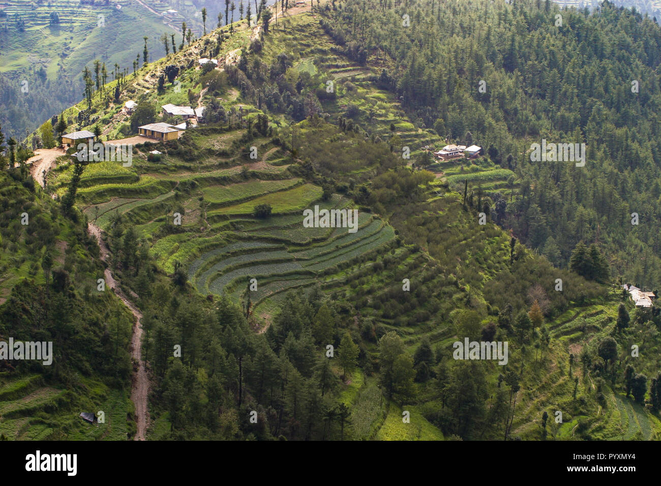 Step farming in himachal pradesh hi-res stock photography and images ...