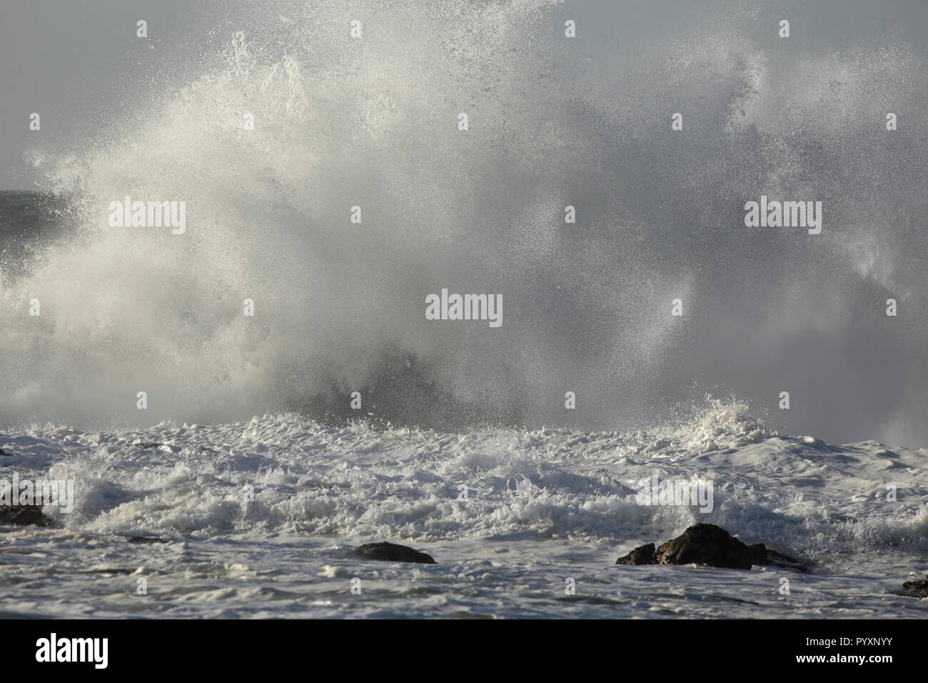 Big sea wave splash detail Stock Photo - Alamy