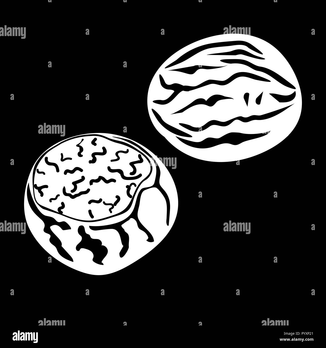 The nutmeg Black and White Stock Photos & Images - Alamy