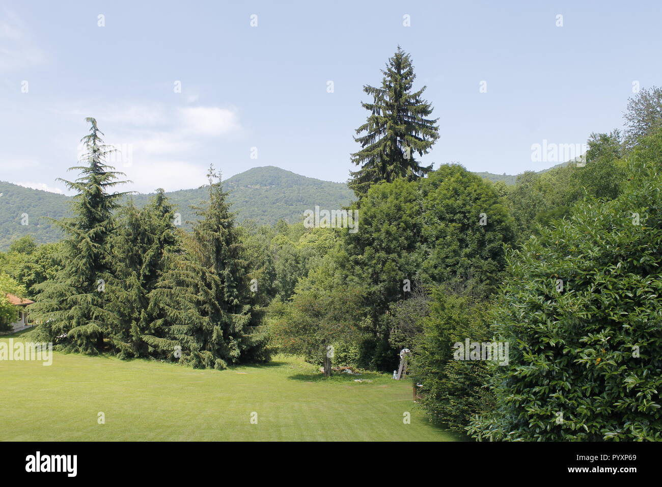 landscape with green woods in north Italy Stock Photo - Alamy
