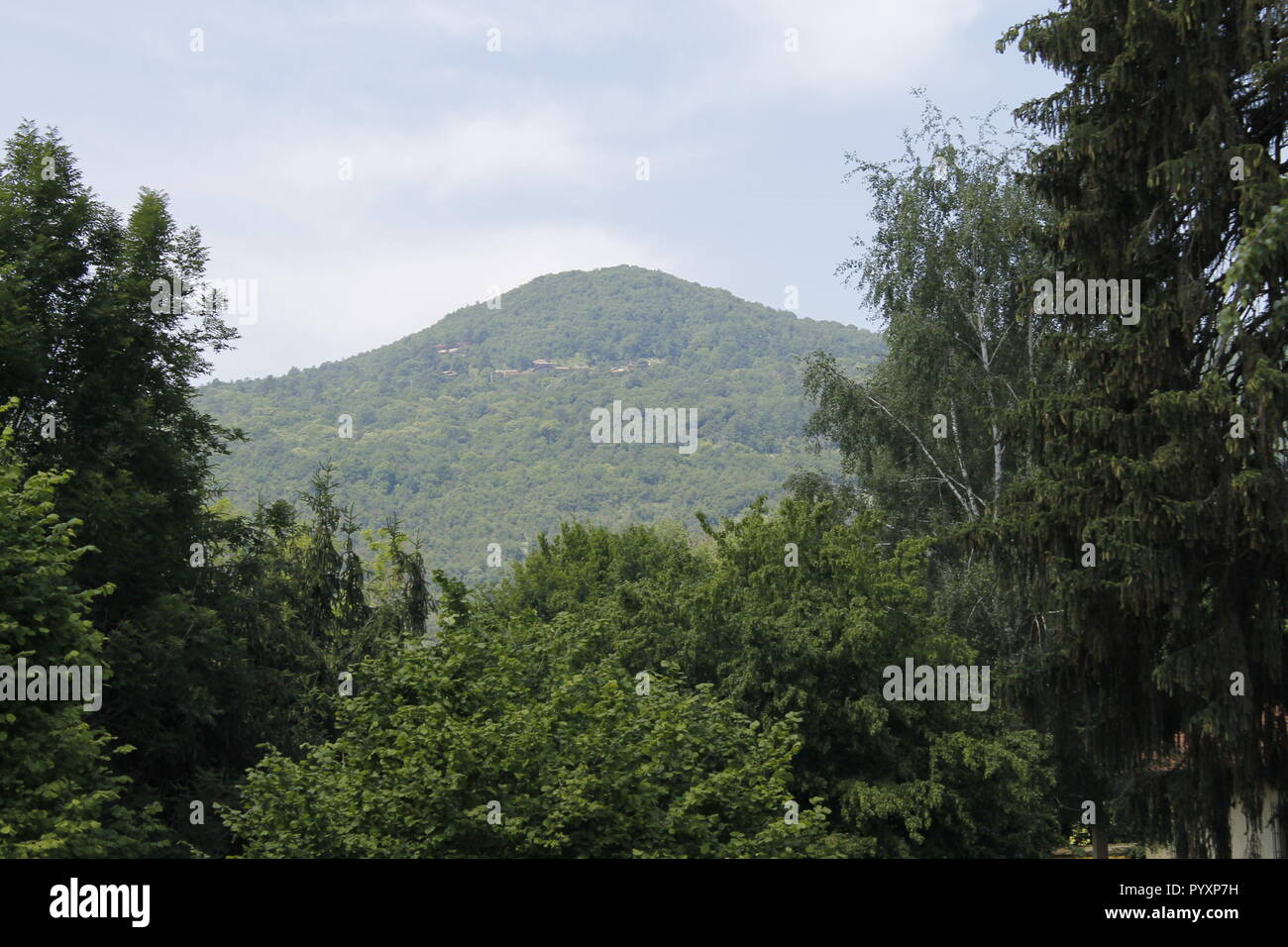 landscape with green woods in north Italy Stock Photo - Alamy