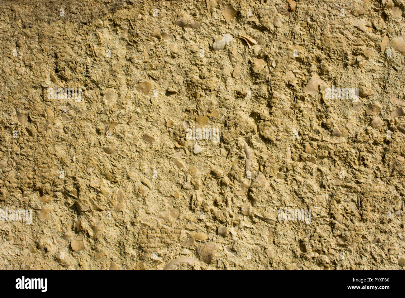 Wall surface as a simple grunge background texture pattern Stock Photo ...