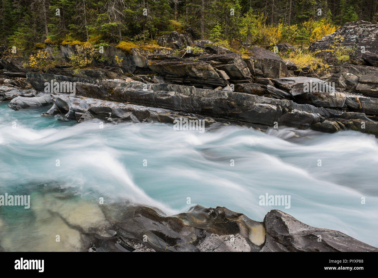Numa hi-res stock photography and images - Alamy