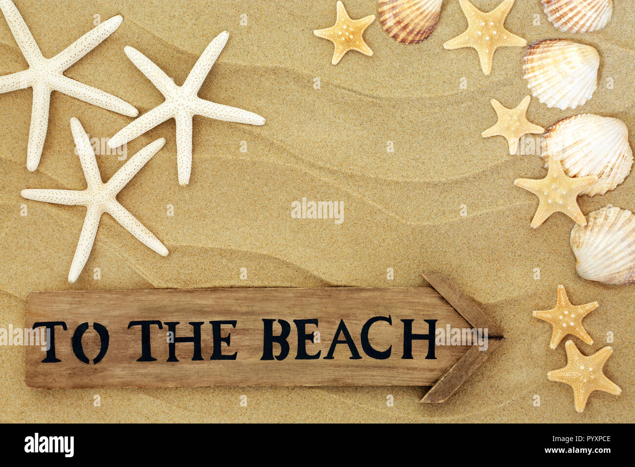 Old rustic to the beach sign with starfish and cockle shells on sand ...