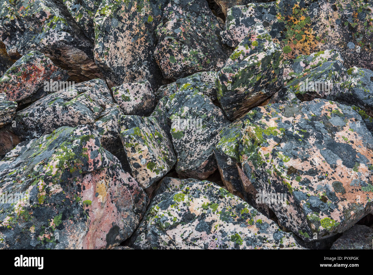 Rock fungi weathering hi-res stock photography and images - Alamy