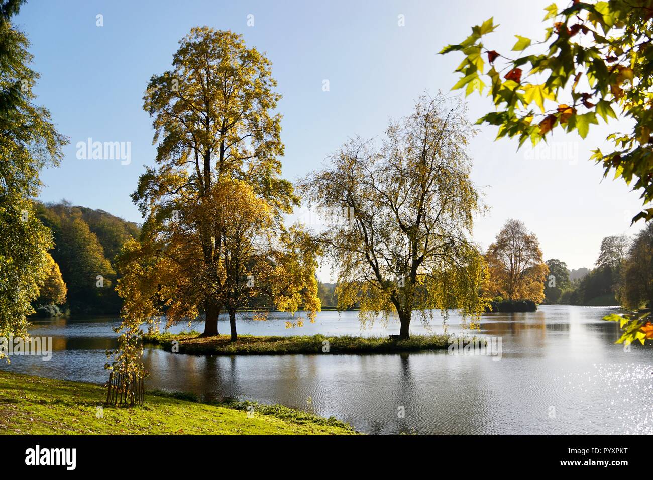 Autumn golds at Stourhead lake and gardens Stock Photo - Alamy
