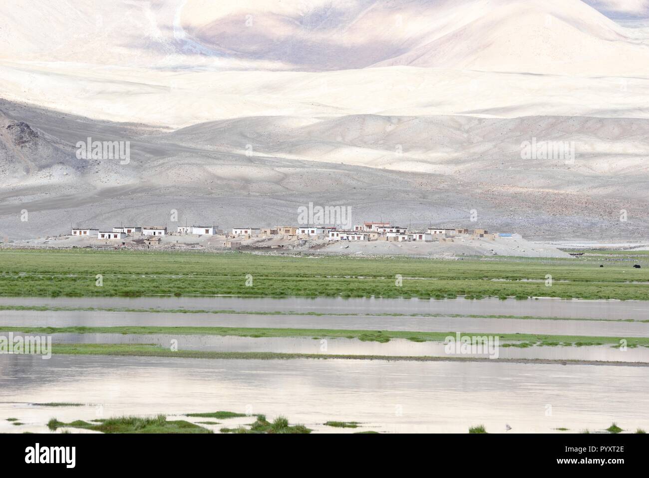 Changthang Cold Desert Wildlife Sanctuary Stock Photo - Alamy