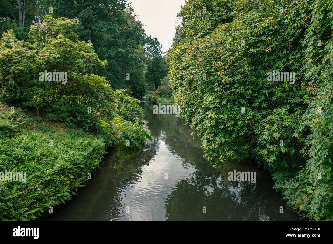 River Bollin near Quarry Bank Mill, Styal, Cheshire, England Stock ...