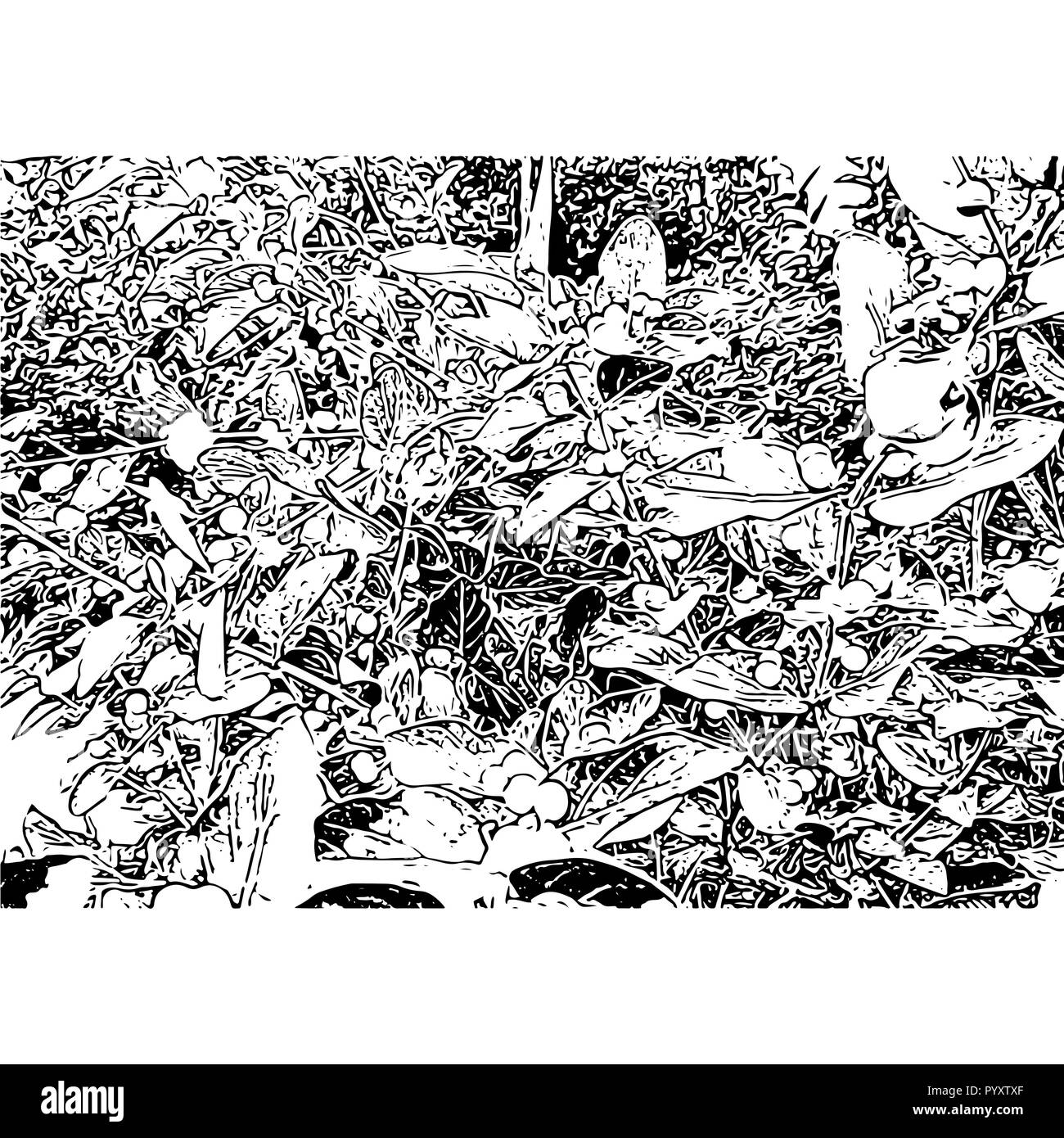 Abstract background with leaves. Trace black and white vector ...