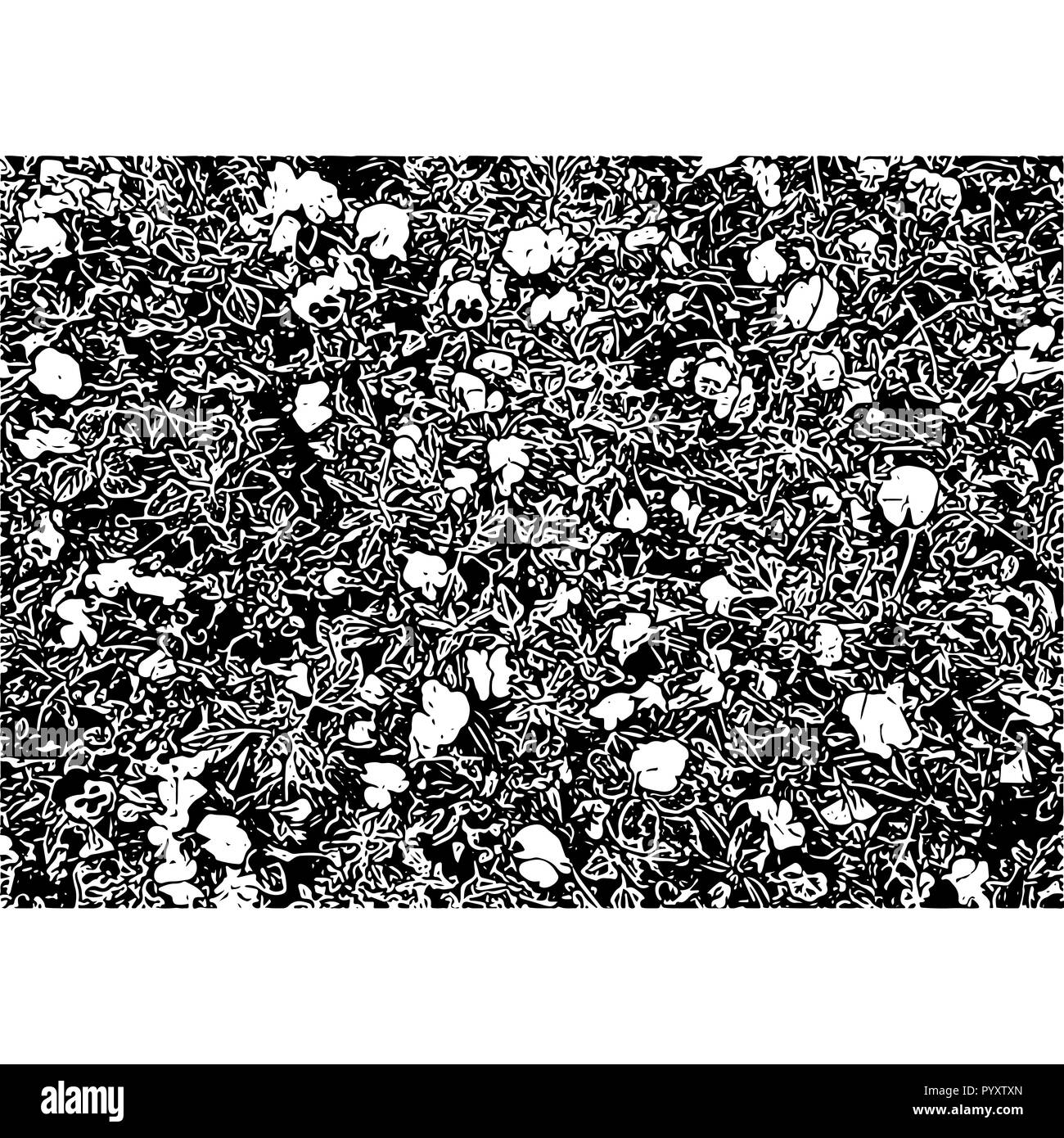 Abstract background with leaves. Trace black and white vector ...