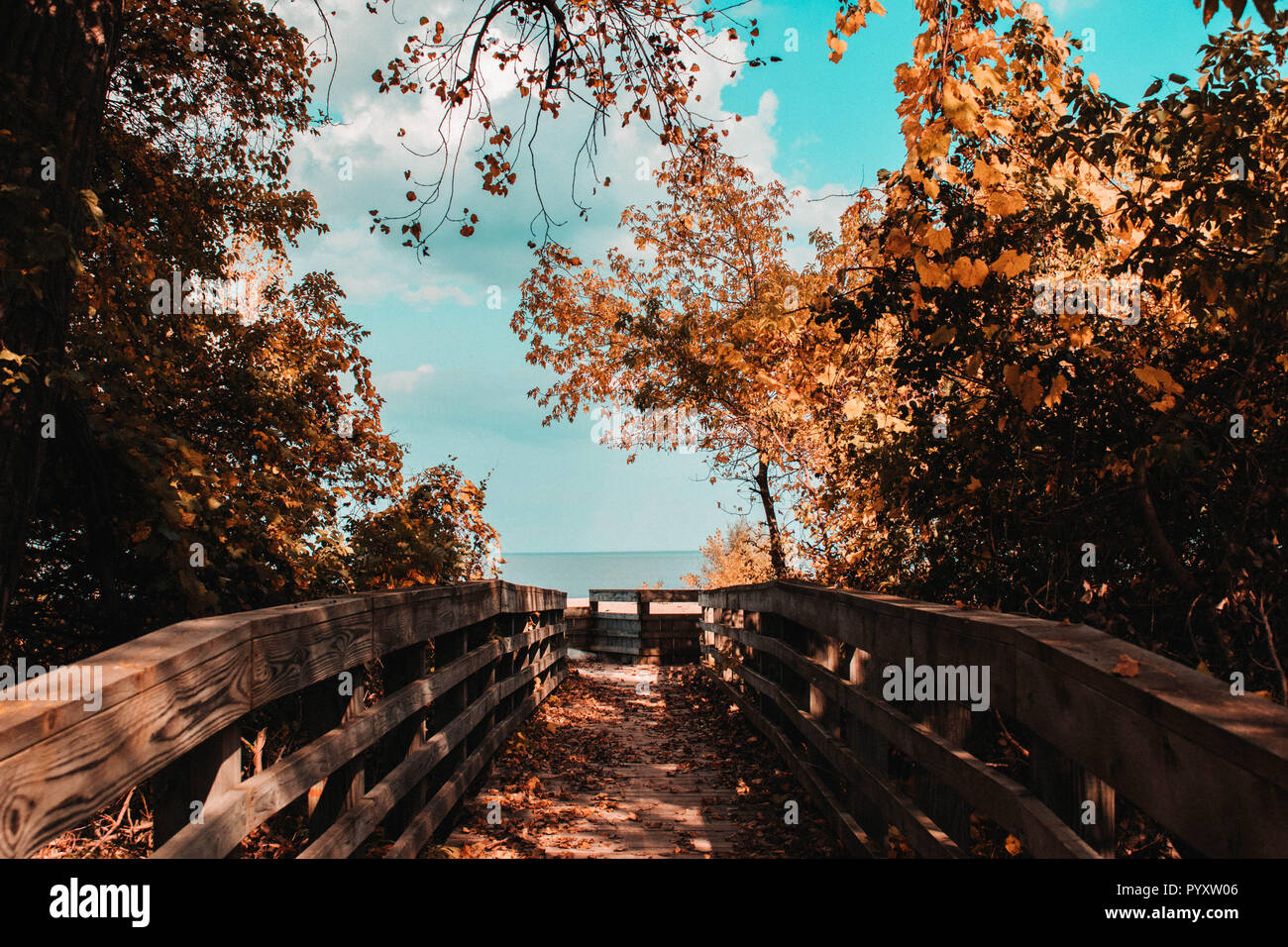 Pathway to the Great Lakes Stock Photo - Alamy
