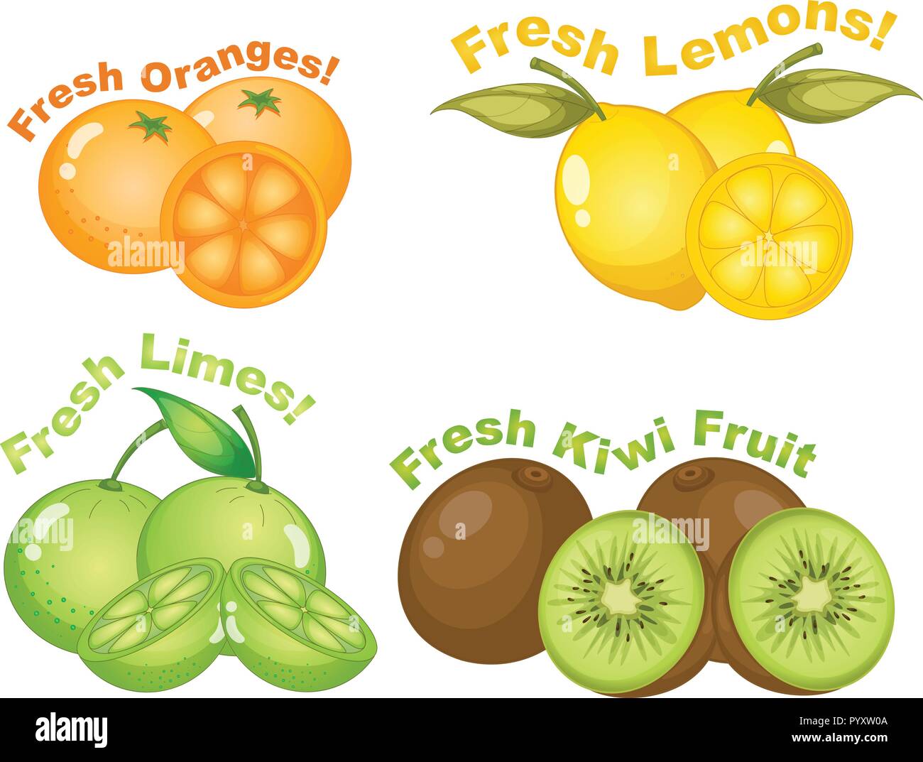 Set of citrus fruits illustration Stock Vector Image & Art - Alamy