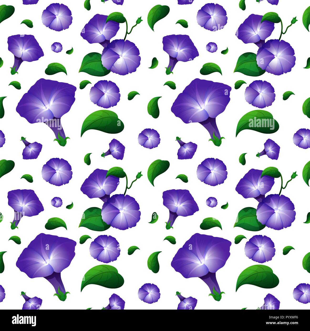 Morning glory flower seamless pattern illustration Stock Vector Image ...