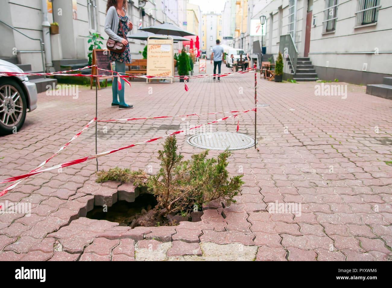 Lodz, Poland, July 2018. A hole in the sidewalk with a growing bush ...