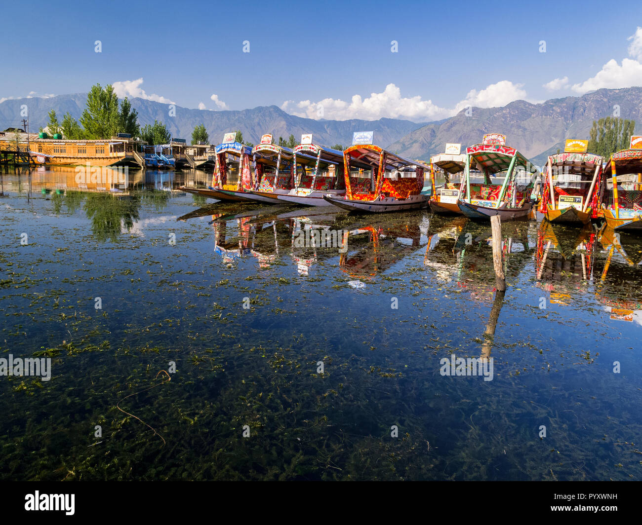 Dal Lake And Houseboat Stock Photos & Dal Lake And Houseboat Stock ...