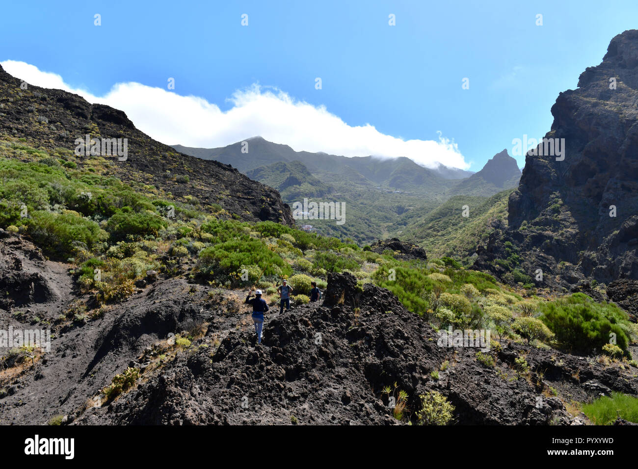 Spain; Canary Islands: Tenerife. Group of hikers in the Teno Rural Park ...