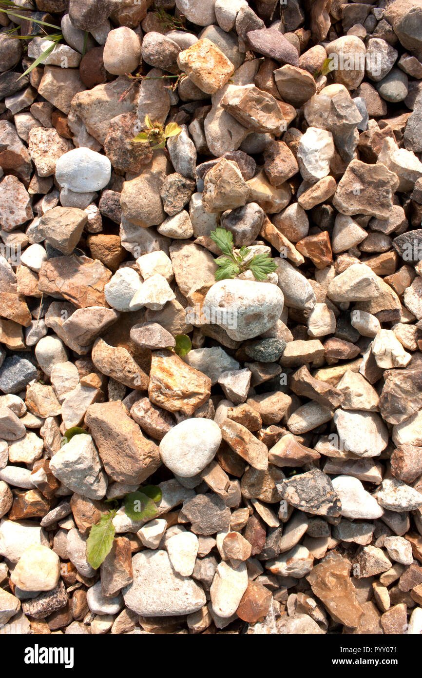 Stone texture, white light rock surface, pebble pattern, small gravel ...