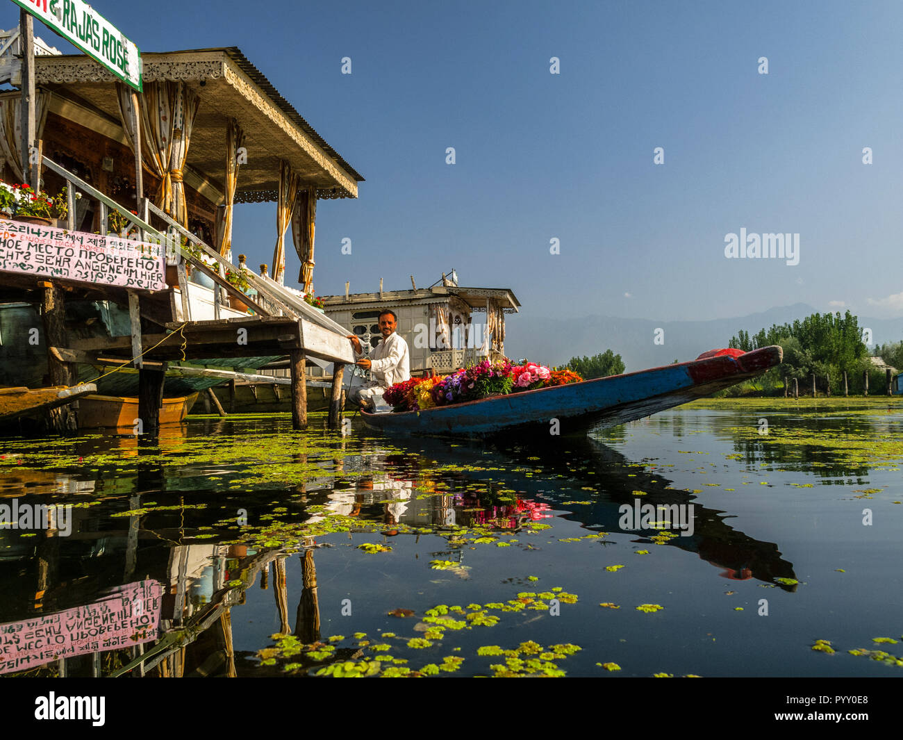 Dal lake flower market hi-res stock photography and images - Alamy