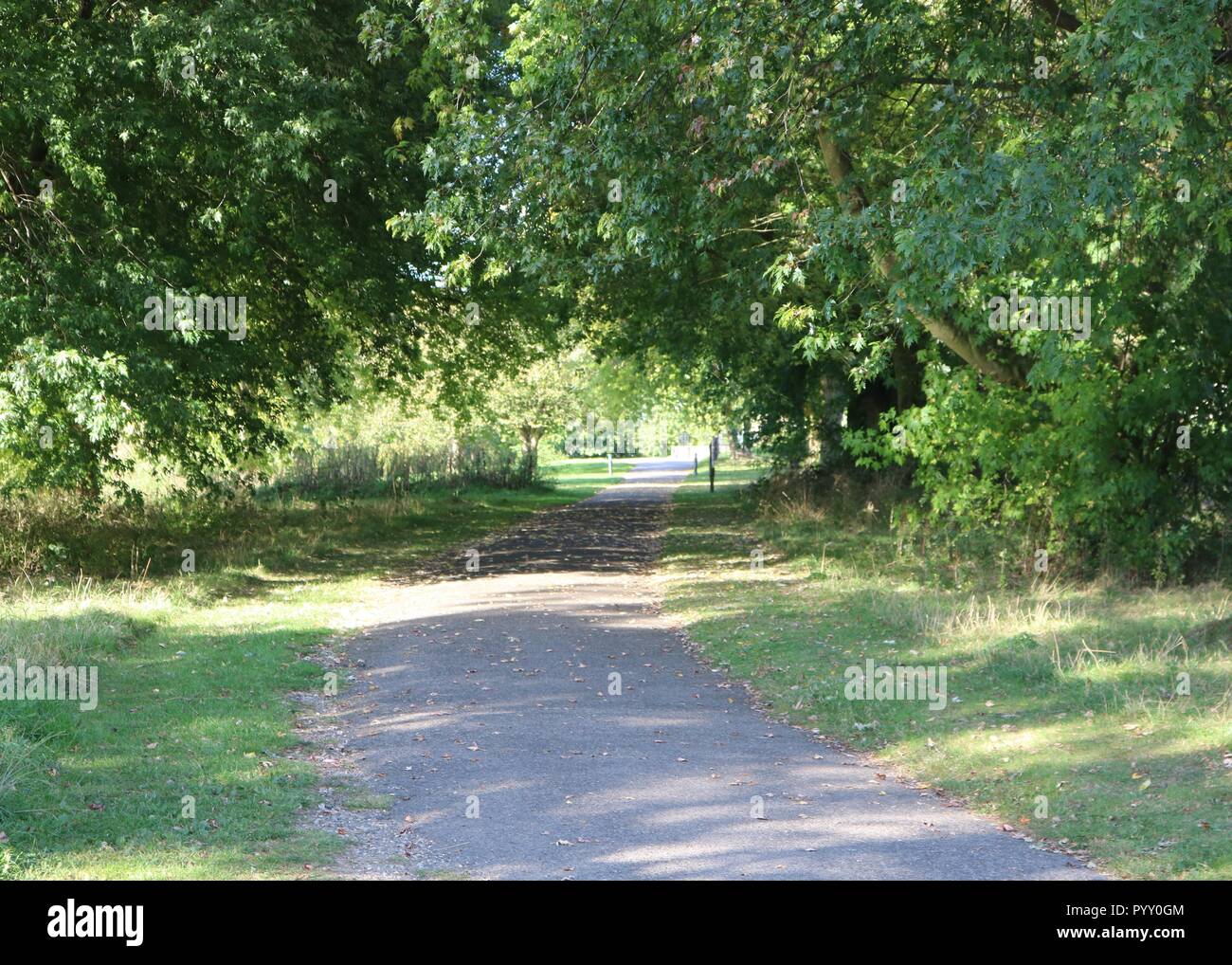 Mote Park , Maidstone , Kent Stock Photo - Alamy