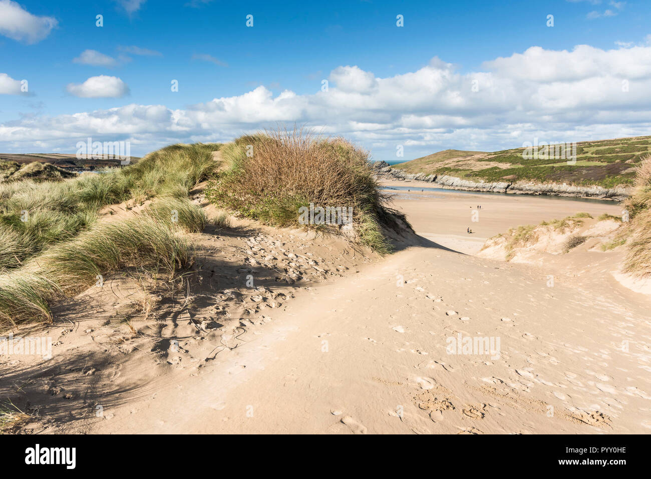 The sand dune system overlooking Crantock Beach in Newquay in Cornwall ...