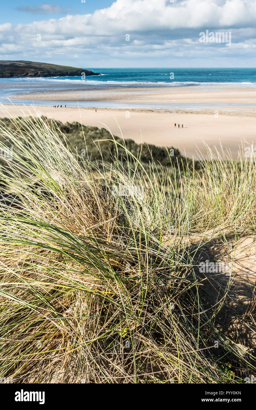 Crantock Beach in Newquay in Cornwall Stock Photo - Alamy