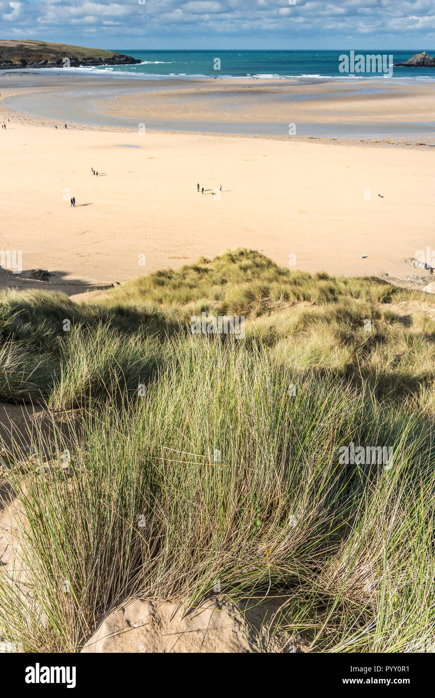A view over Crantock Beach from the top of the sand dune system in ...