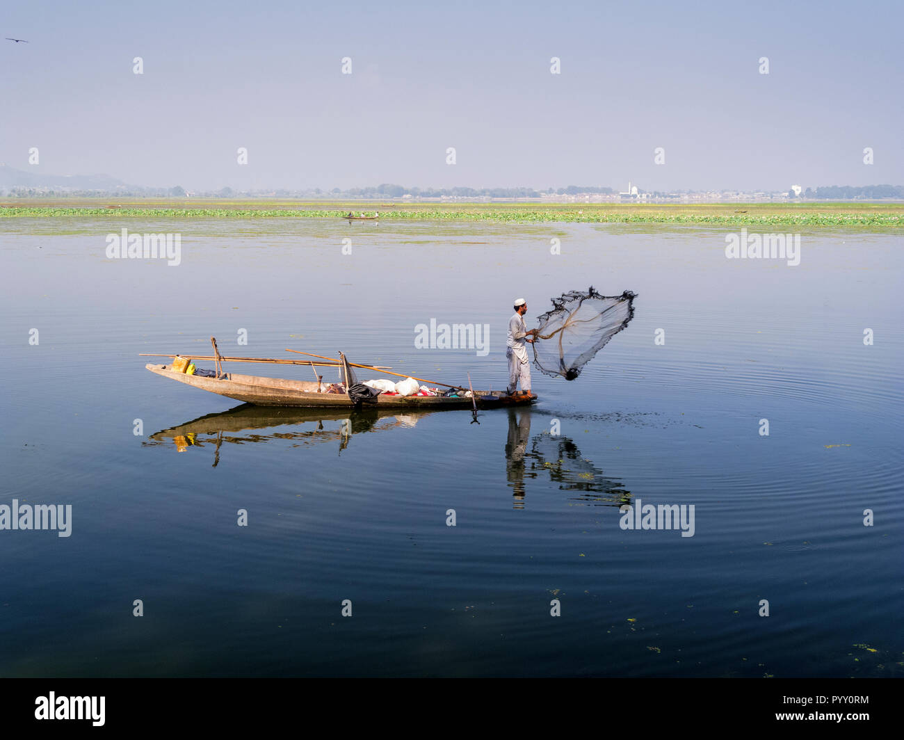 Kashmir valley fish hi-res stock photography and images - Alamy