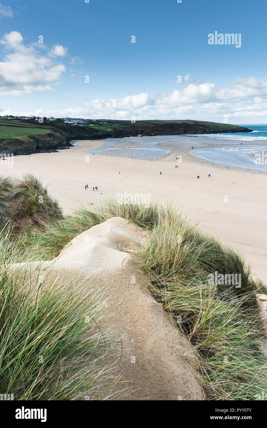 Dune stabilisation hi-res stock photography and images - Alamy