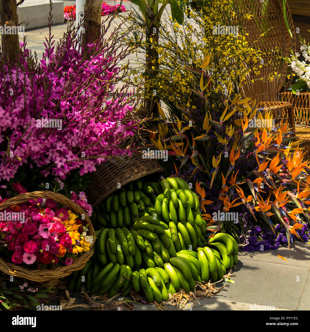 Colorful visitor center display hi-res stock photography and images - Alamy
