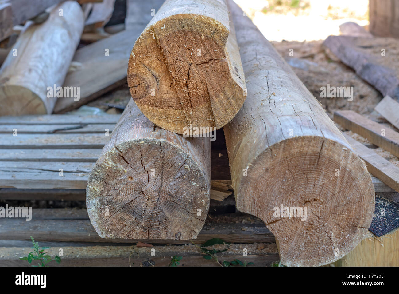 round wooden logs lie on the ground at a construction site Stock Photo ...