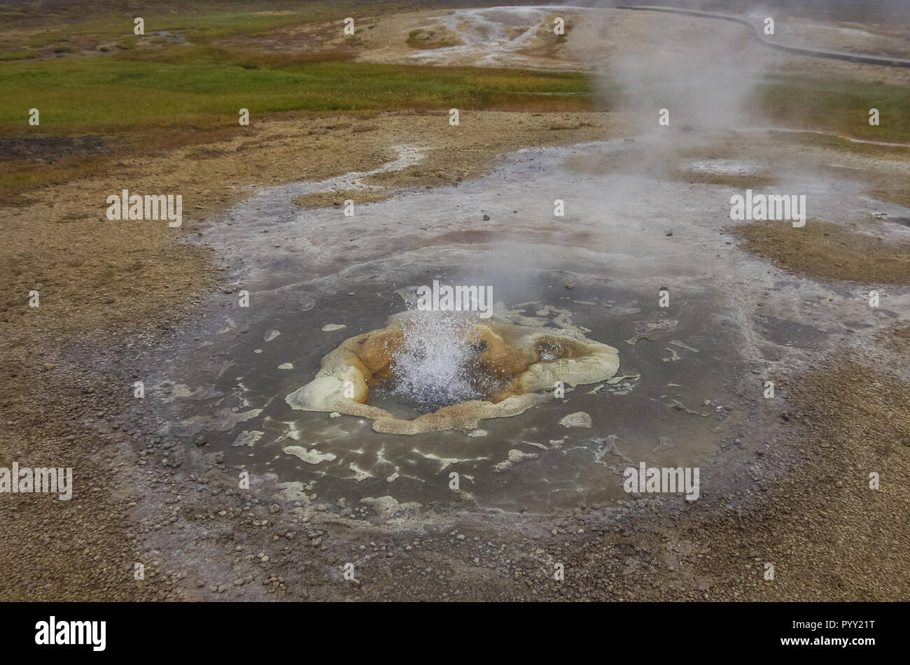 Hot steam coming from the boiling water in the central Iceland in the ...