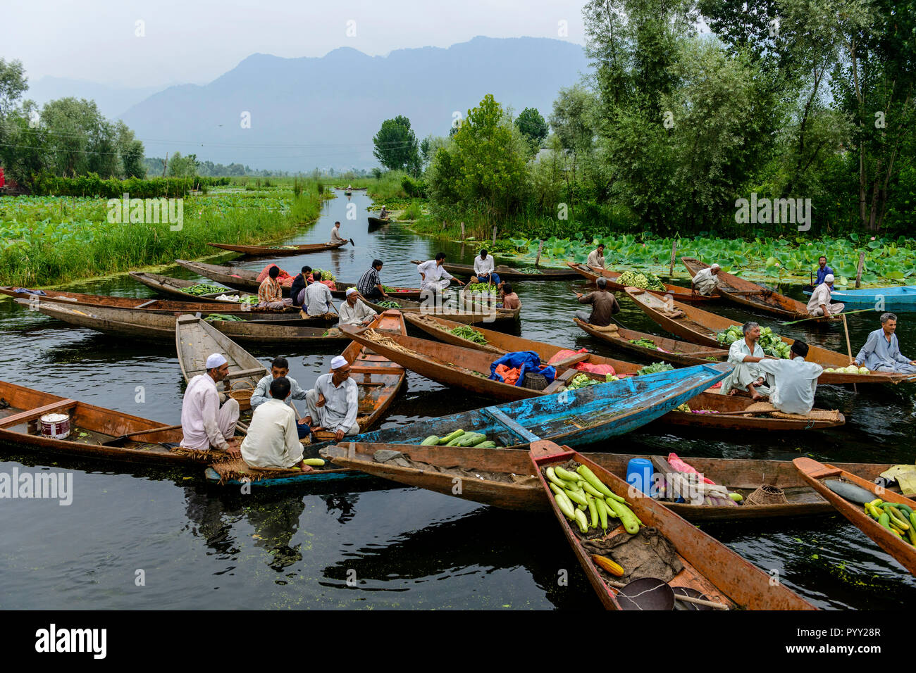 The "Floating market", a vegetable market on Dal Lake, where salesmen ...