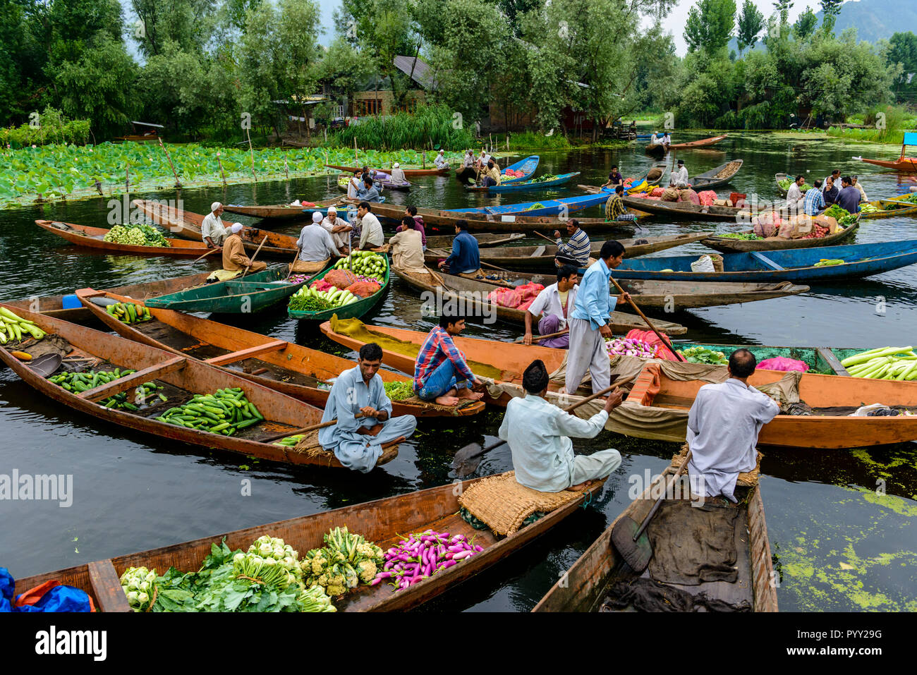 Shikara hi-res stock photography and images - Alamy