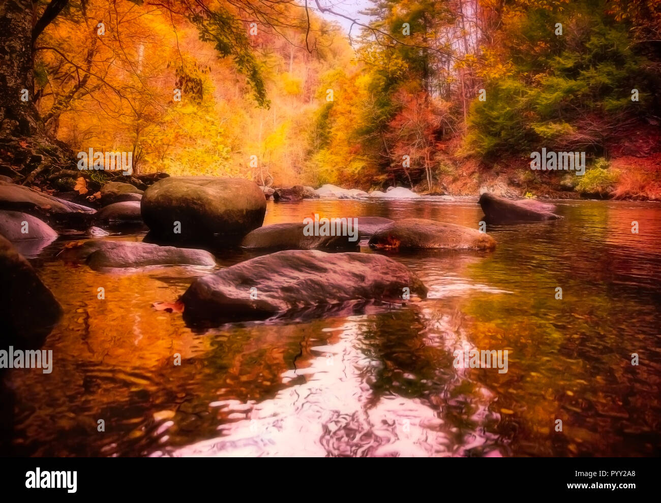 Fall foliage is reflected in a stream in Great Smoky Mountains National ...