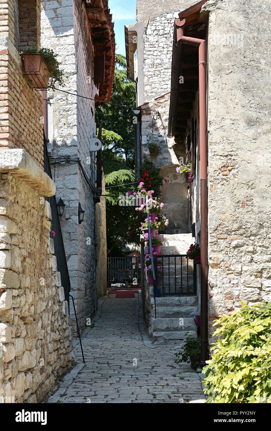 historical buildings in the old town of Porec in Croatia Stock Photo ...
