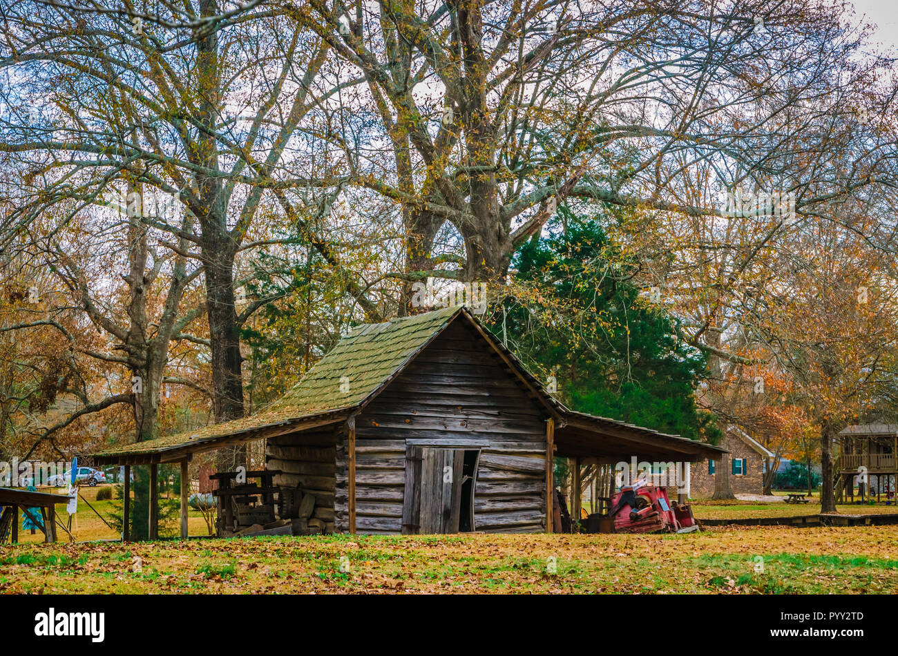 Autumn leaves provide a scenic backdrop for one of the rustic barns ...