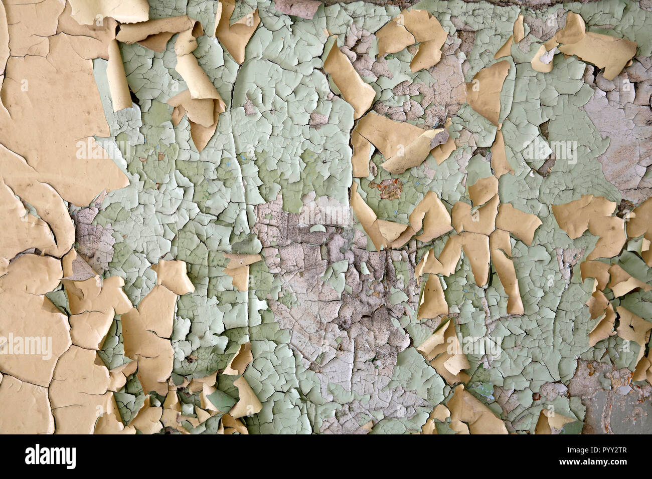 Old scraped wall hi-res stock photography and images - Alamy