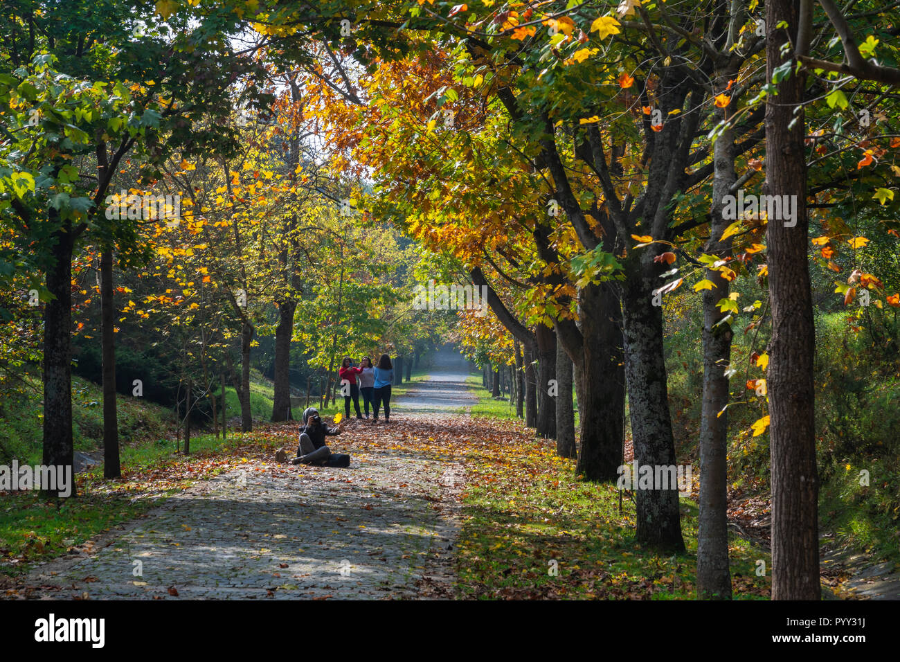 Fall colours in Istanbul,Turkey Stock Photo - Alamy