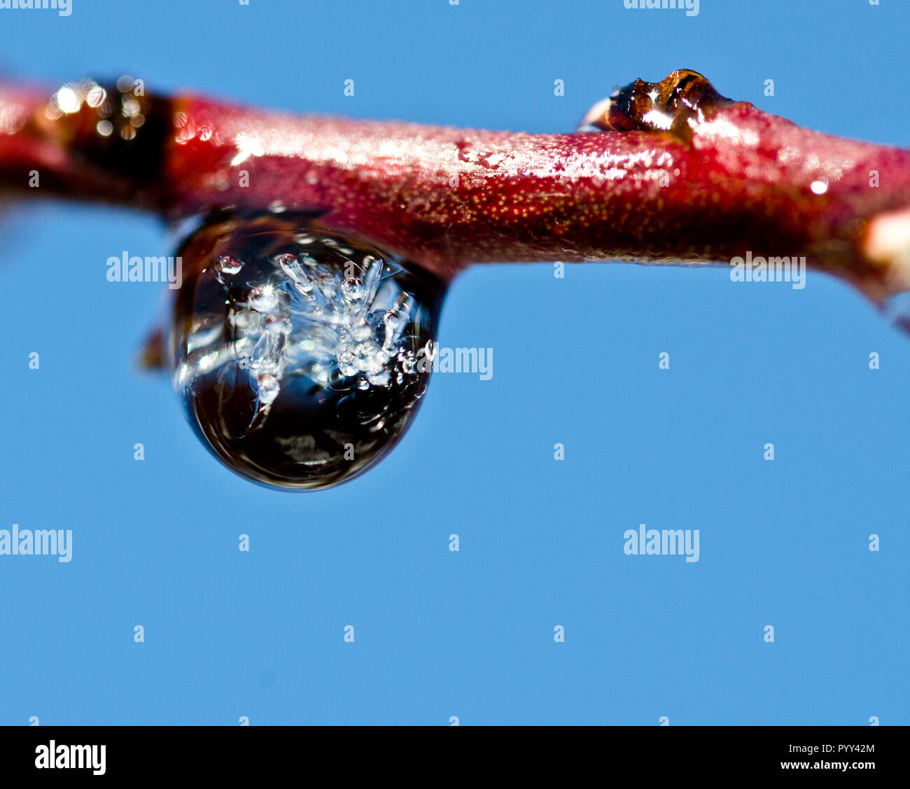 Ice drop hi-res stock photography and images - Alamy