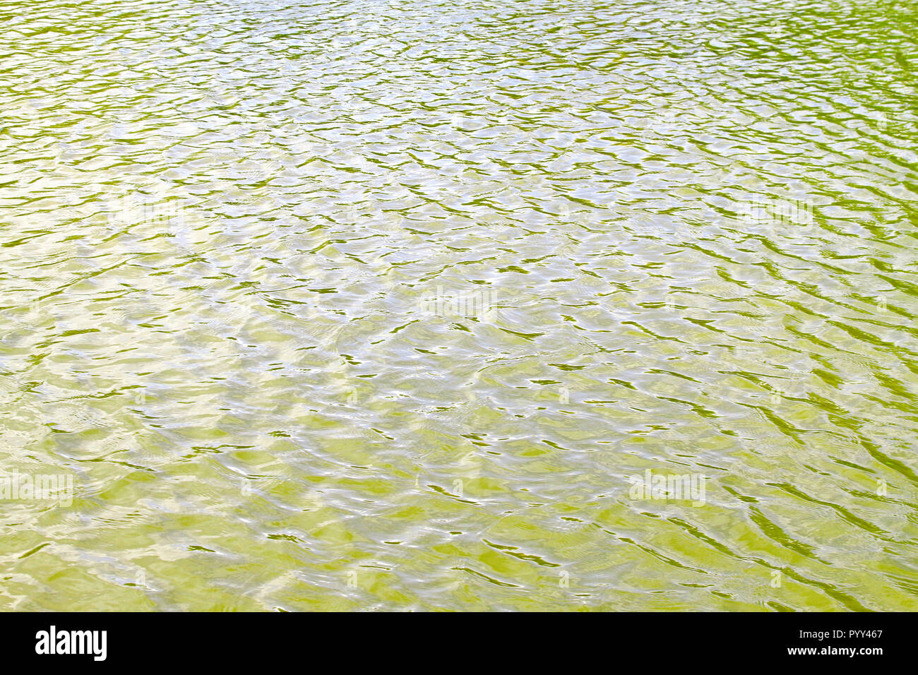 The biggest river hi-res stock photography and images - Alamy