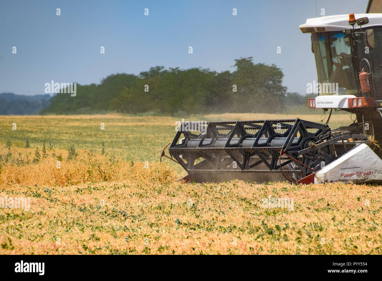 Fields near Krasnodar, Russia - June 21, 2018: Harvesting peas with a ...