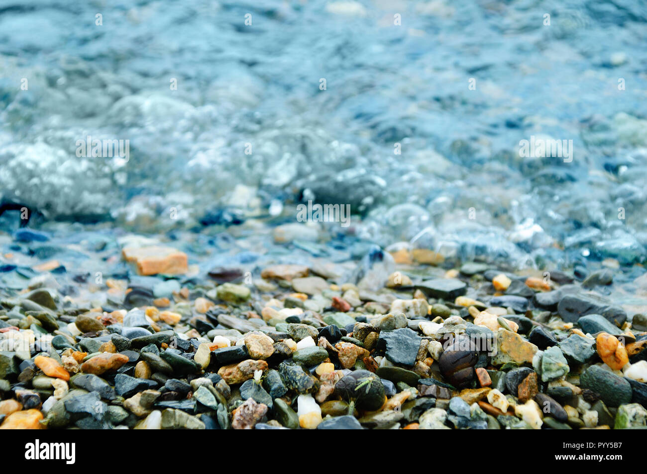 Shells and pebbles on the beach. Close-up Stock Photo - Alamy