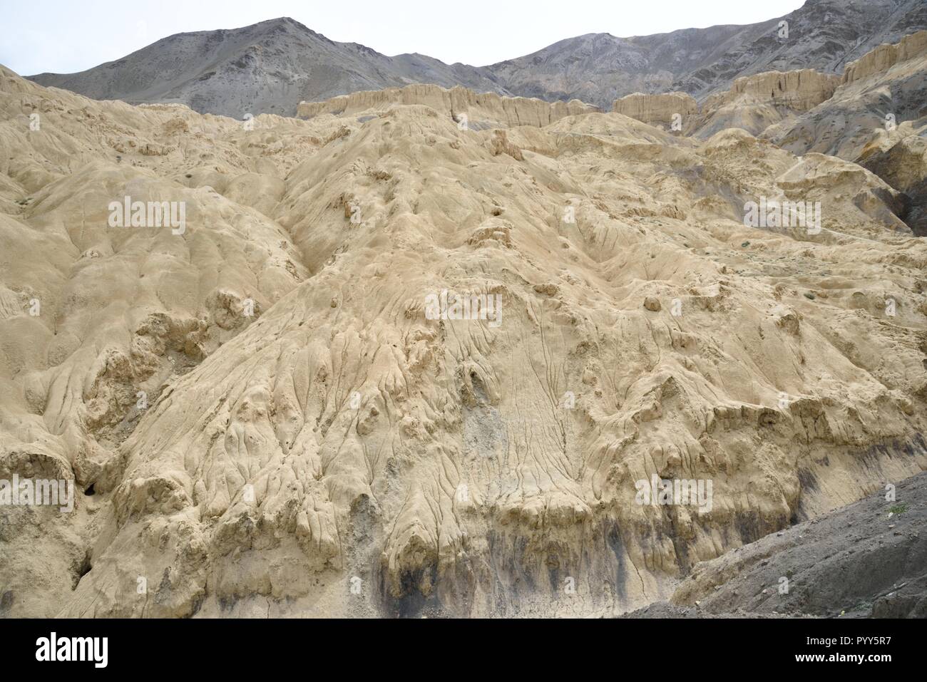 Rare landscape hi-res stock photography and images - Alamy