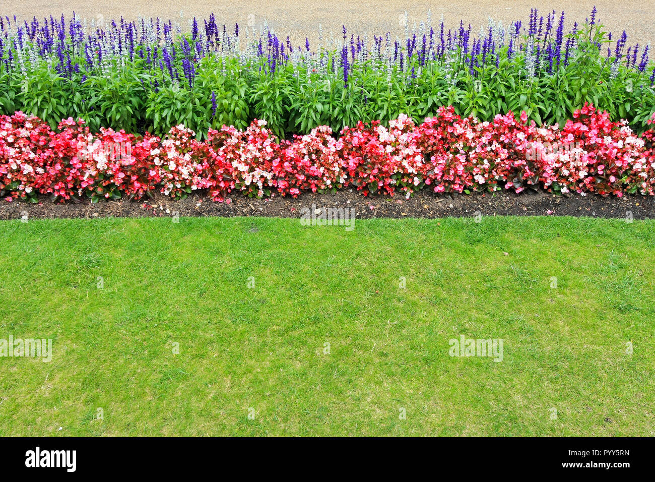 Edge of garden lawn with colorful flowers Stock Photo - Alamy