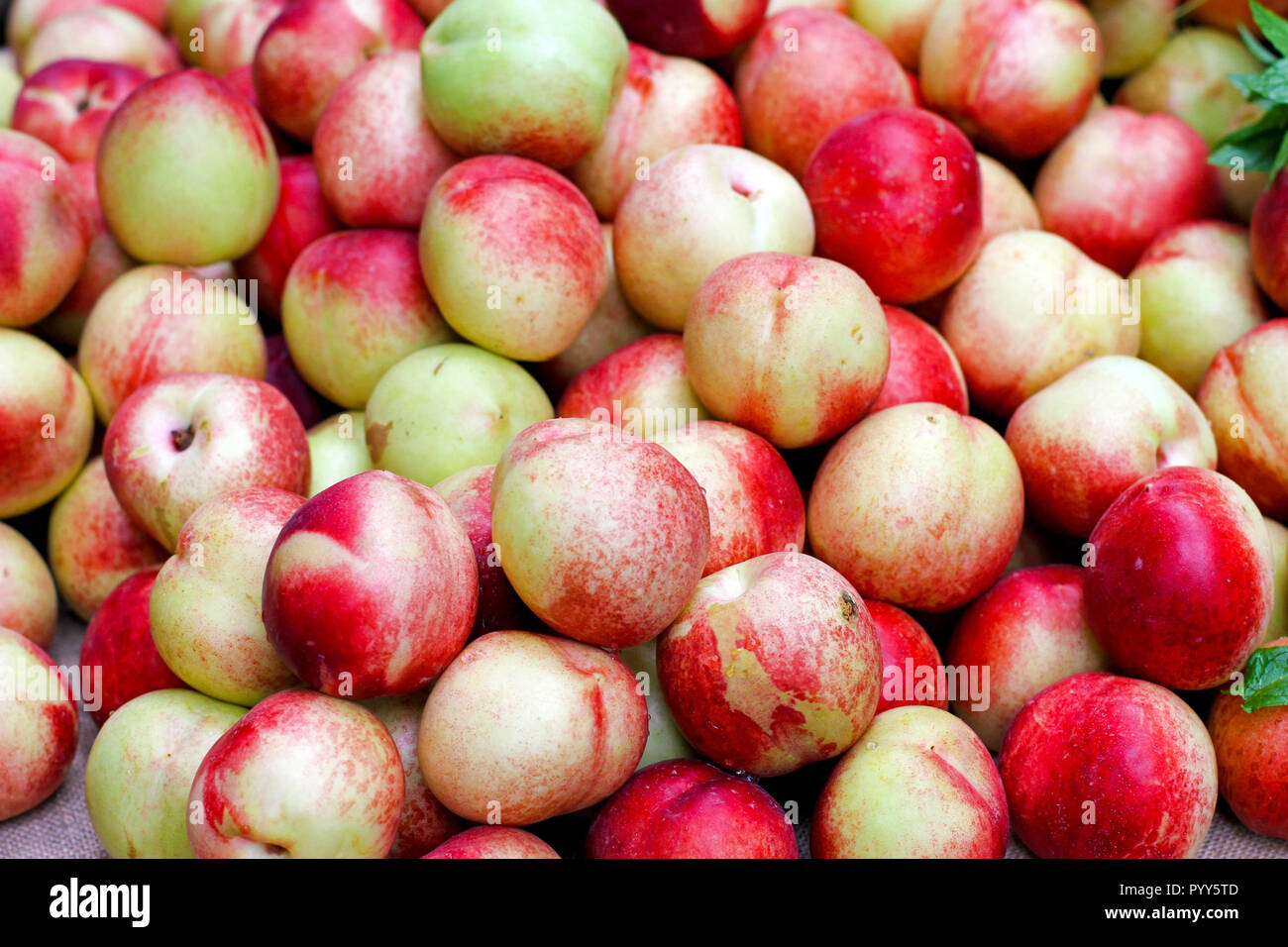 Big pile of fresh organically grown nectarines Stock Photo - Alamy