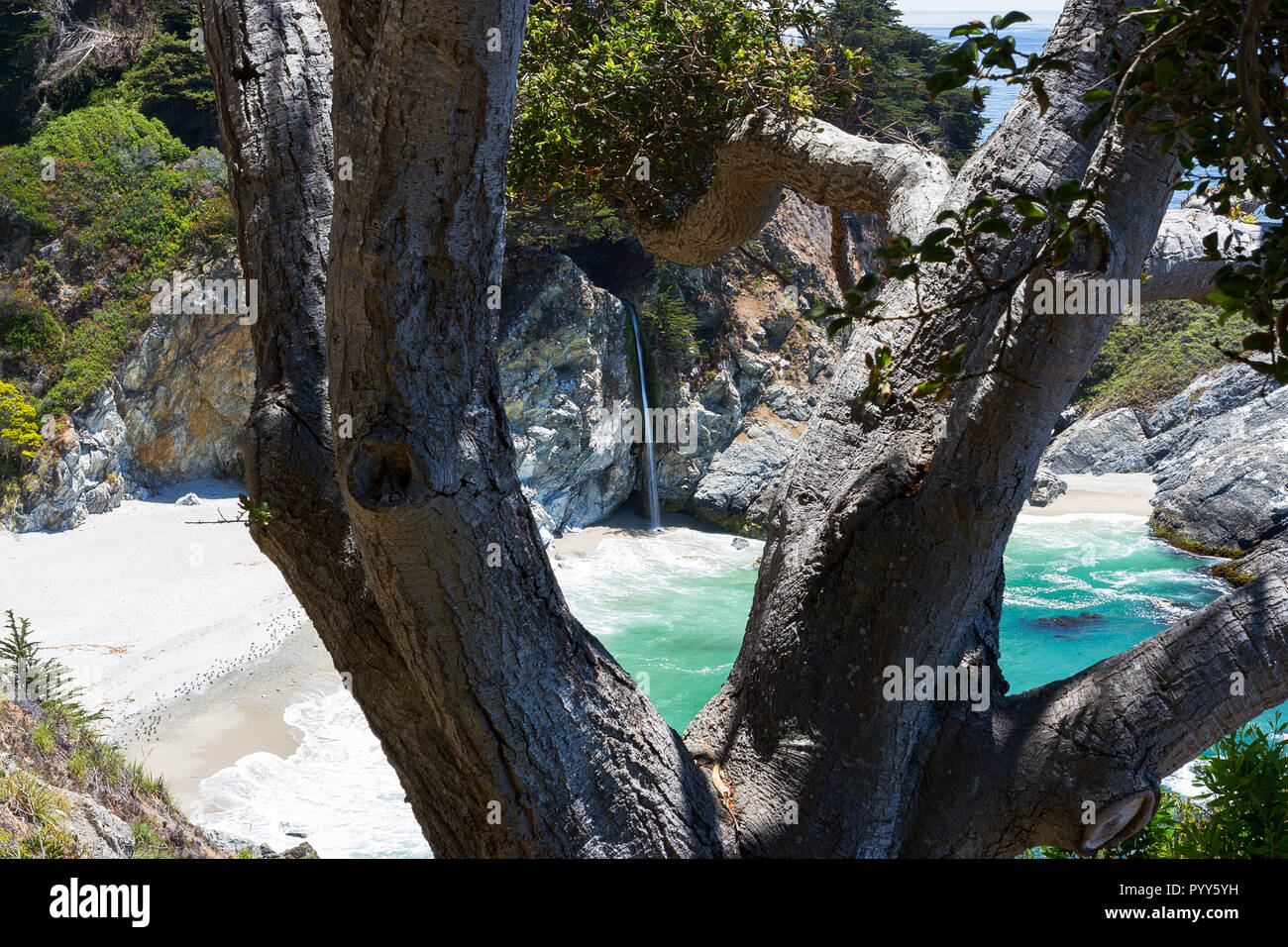 McWay Falls Big Sur California Stock Photo - Alamy