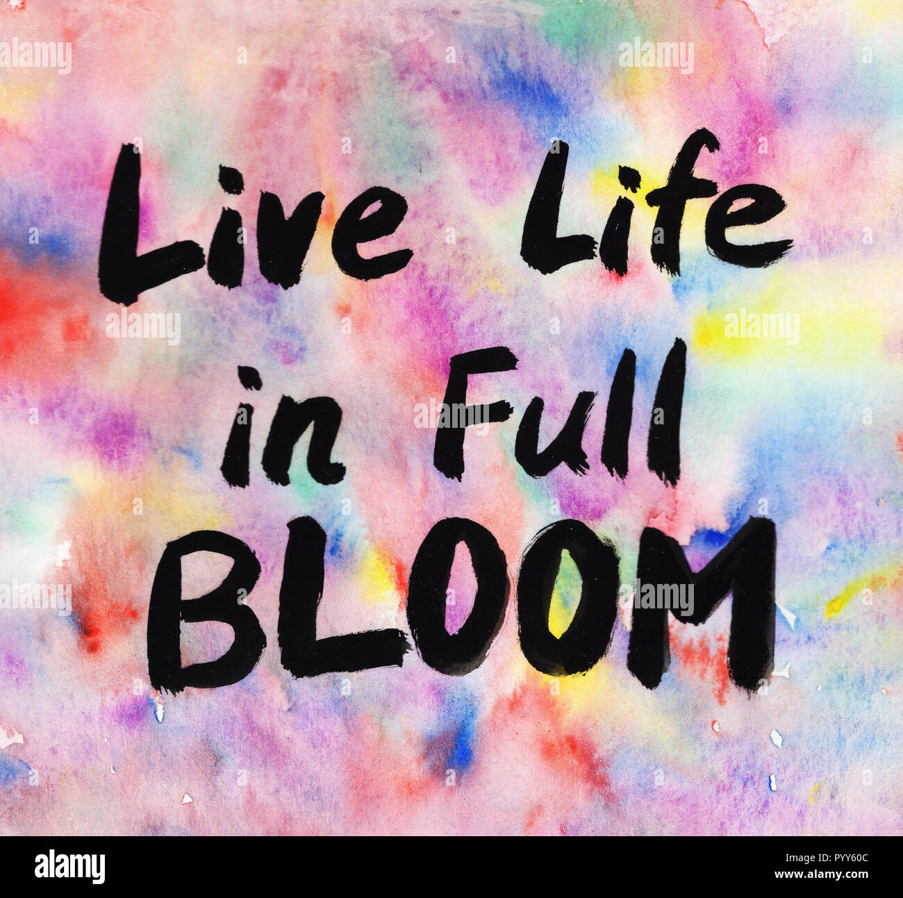 Live life in full bloom hi-res stock photography and images - Alamy
