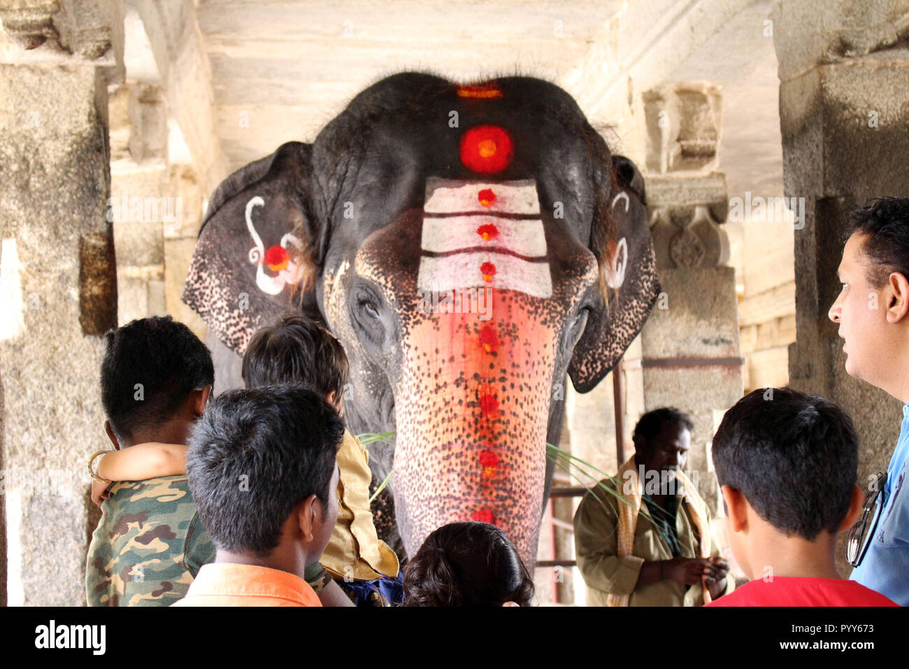 An elephant blessing a pilgrim at Virupaksha temple. Taken in India ...