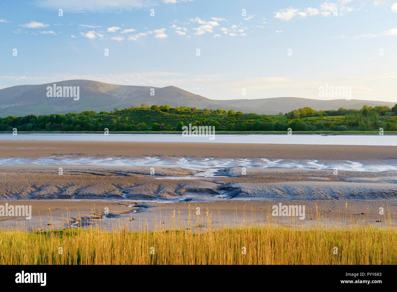 The River Nith, Dumfries and Galloway, Scotland. West across the tidal ...